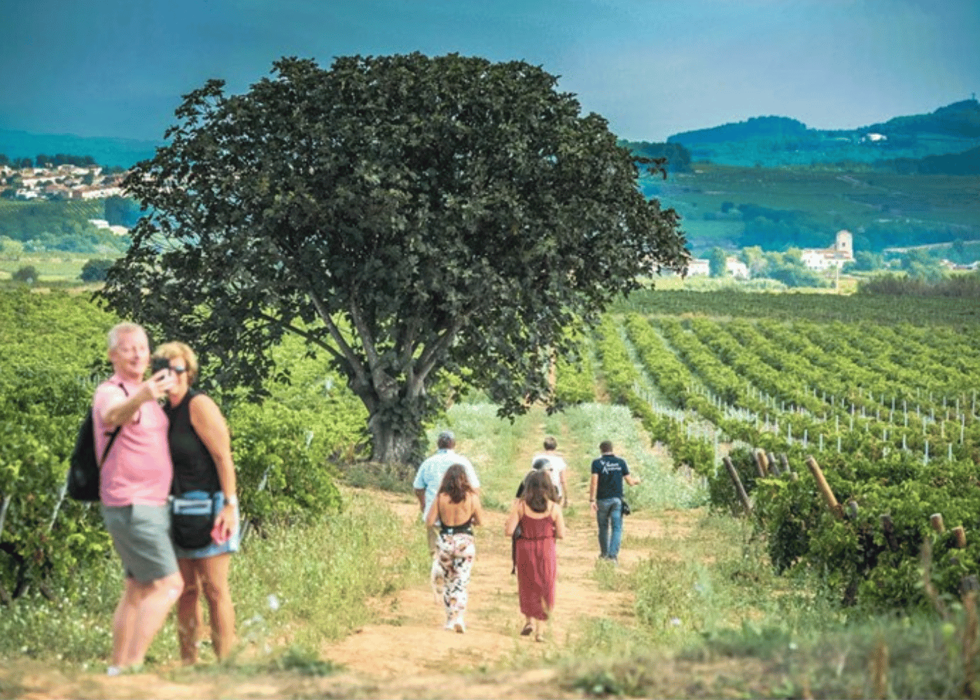 Cata y visita a una bodega emblemática del Penedès